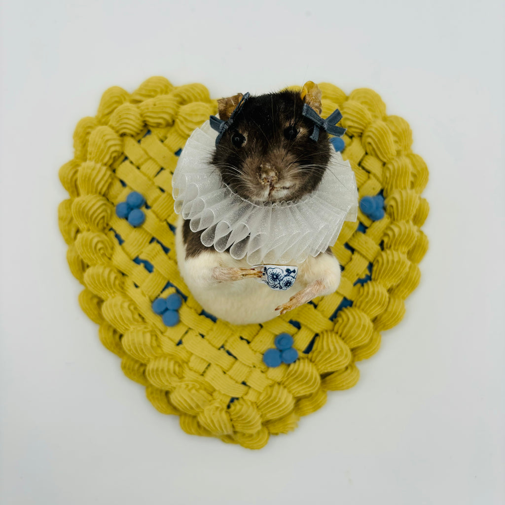 Blueberry Pie Taxidermy Rat – Miette