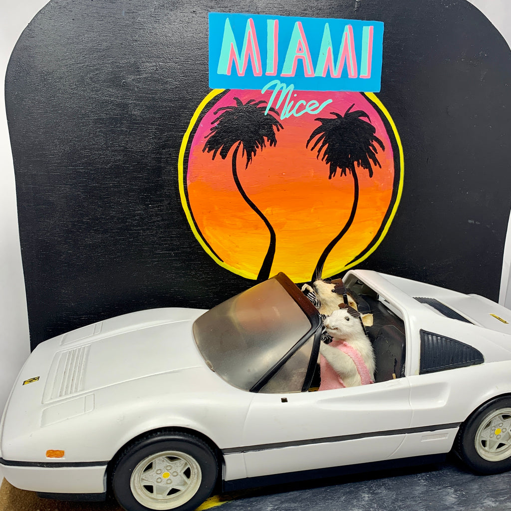 Miami Mice Taxidermy – Miette